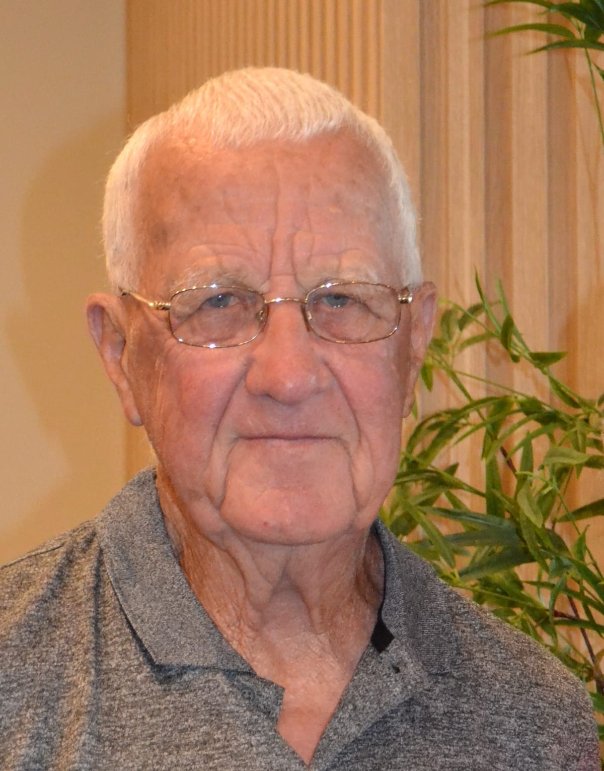 Collie became Geoff's forever home